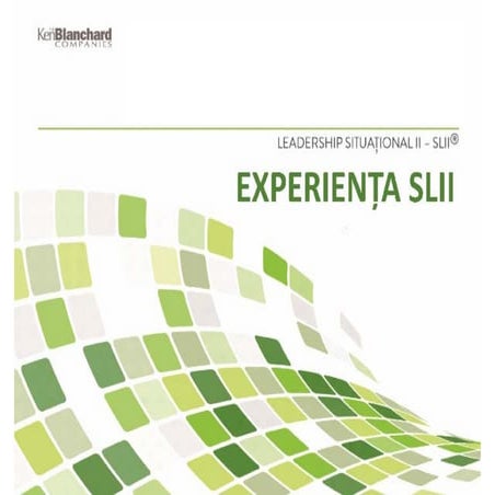 SLX - prezentare in limba romana | PDF