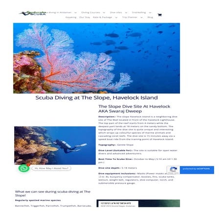 Explore The Slope dive site in Havelock Island (Swaraj Dweep) | PDF