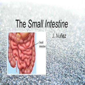 The small intestine | PPTX