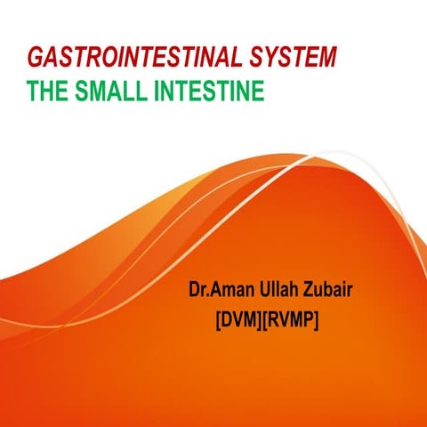 THE SMALL INTESTINE Small animal surgery.pptx