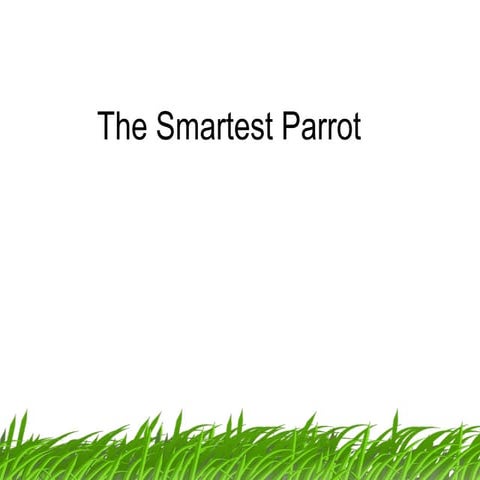 The smartest parrot | PPT