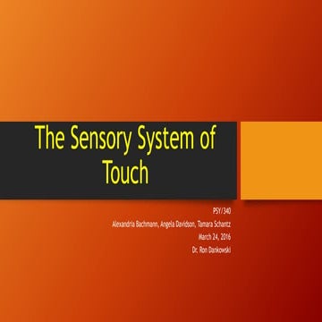 The somatosensory of touch presentation (2) | PPTX