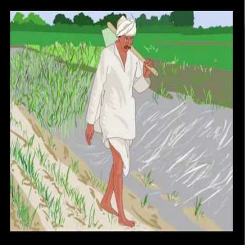 The sower | PPT