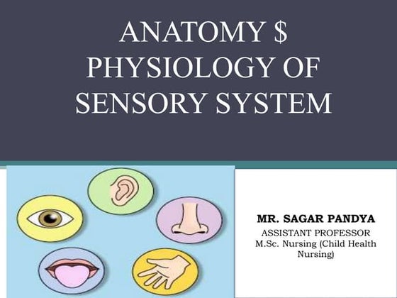 ppt on Eye anatomy | PPT