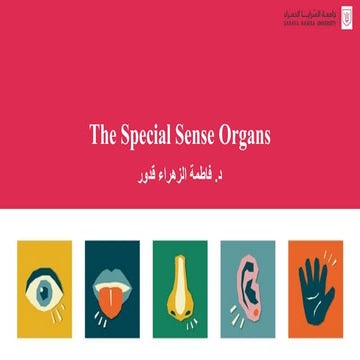 The Special Senses Organs in human body | PDF