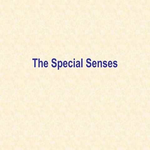 Sensory organs | PPT