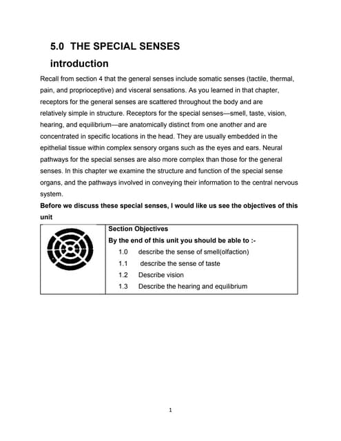 Sense of smell | PPT