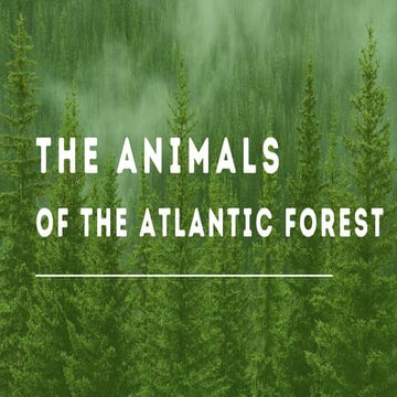 Group 4The Species of the Atlantic Forest.pdf