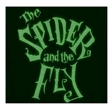 The Spider and the Fly (1) (1).pptx