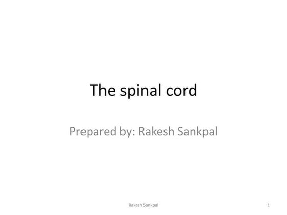 Spinal cord & nerves | PPT
