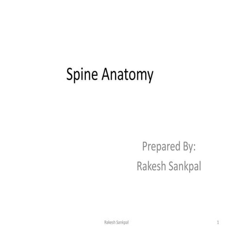 The spine anatomy | PPTX