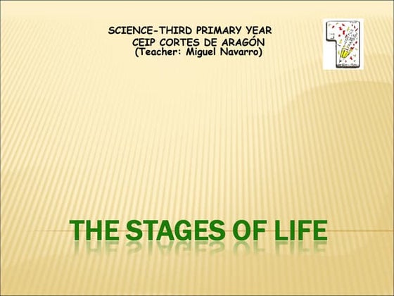 The stages of life | PPT | Family and Relationships
