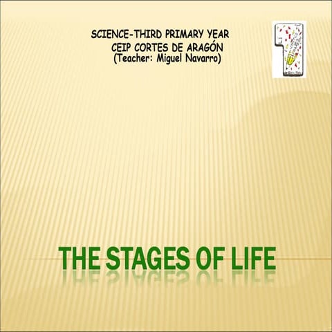 The stages of life | PPT
