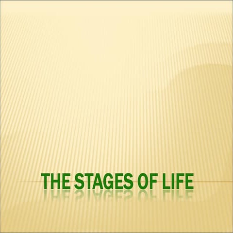 The stages of life | PPT