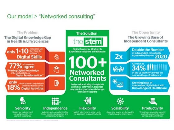 The Stem: Consulting Reimagined | PPT