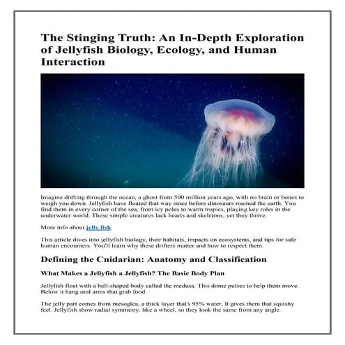 Jellyfish | PPT