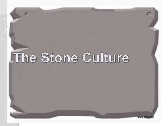 THE STONE AGE | PPT
