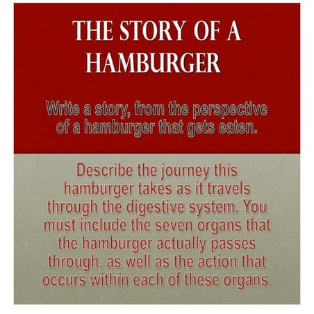The Story Of A Hamburger | PPT