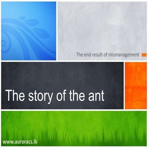 The story of ant | PPTX