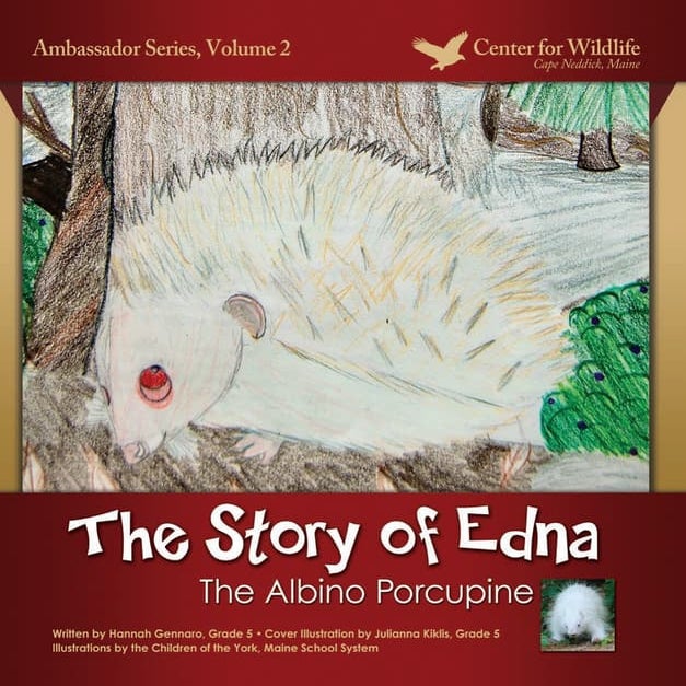 The Story of Edna | PPT