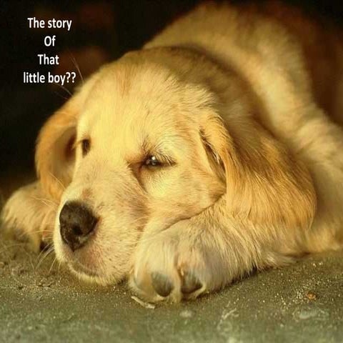 The story of that little boy | PPT