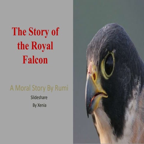 The story of the royal falcon | PPTX