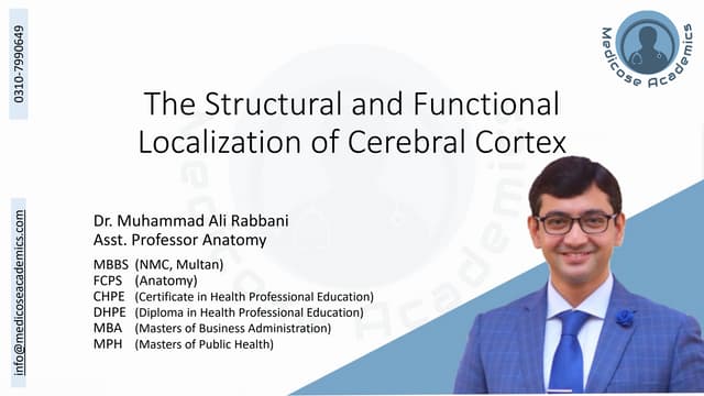 The Structural And Functional Localization Of Cerebral Cortex Pdf
