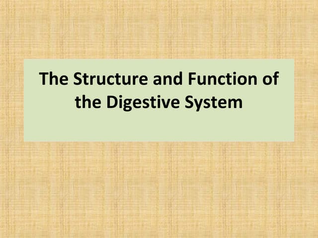 Human digestive system | PPTX