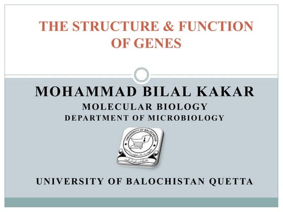 Human genome project | PPT