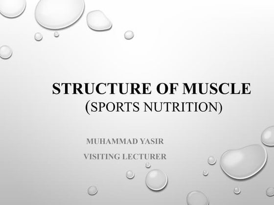 Muscle fibre types | PPT