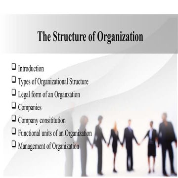 The Structure of Organization in pp.pptx