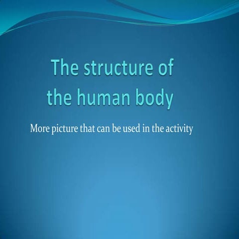 The structure of the human body | PPT