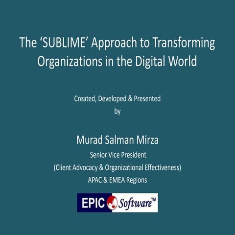 The ‘SUBLIME’ Approach to Transforming Organizations in the Digital ...