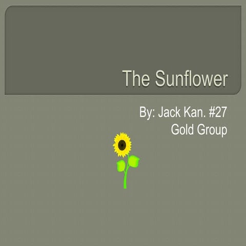The sunflower by jack kan | PPTX