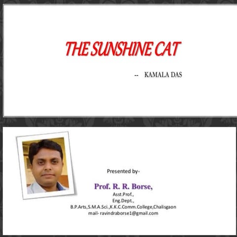 The Sunshine Cat | PPTX