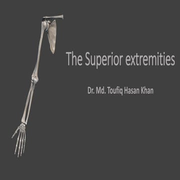 The Superior extremities(1)-converted.pdf