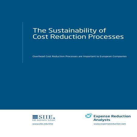 The sustainability of the cost reduction process | PDF