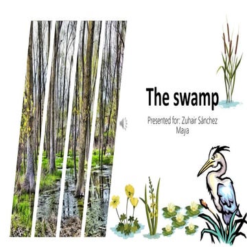 The Swamp expositions in english for me from you | PPT