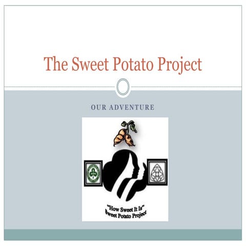 The sweet potato project | PPTX
