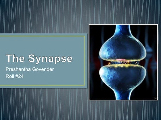 Mechanism of muscle contraction | PPT