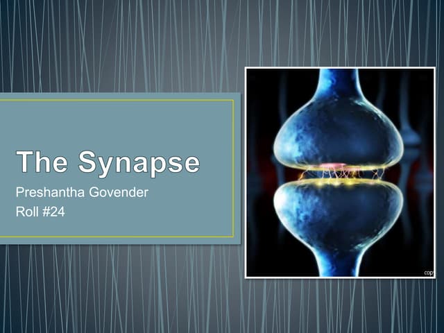 The Human Brain, Its Parts and Functions | PPTX | Brain and Nervous ...