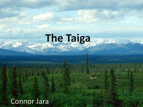 The Taiga Biome | PPTX