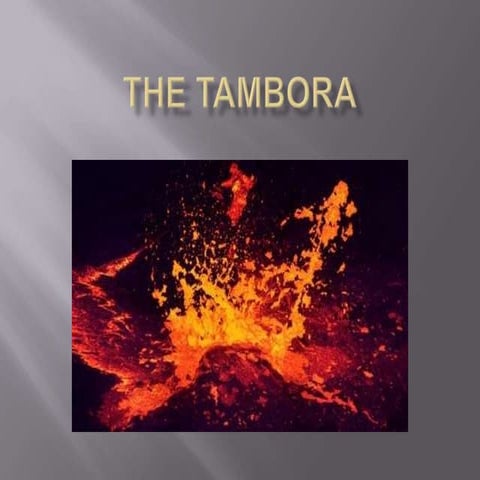 THE TAMBORA | PPTX
