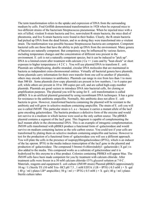 Plasmid Isolation Lab Report | DOCX