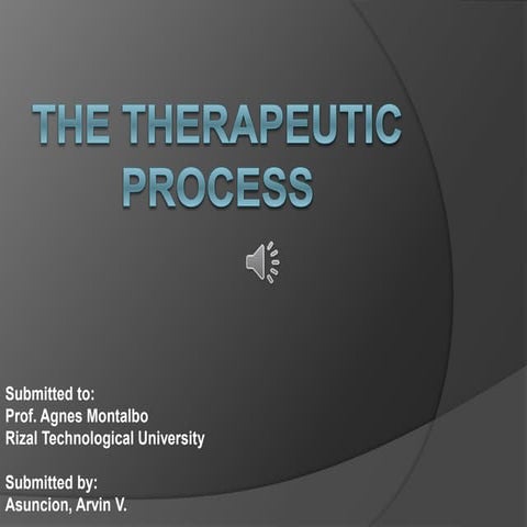 The Therapeutic Process | PPT