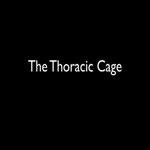The thoracic cage | PPT