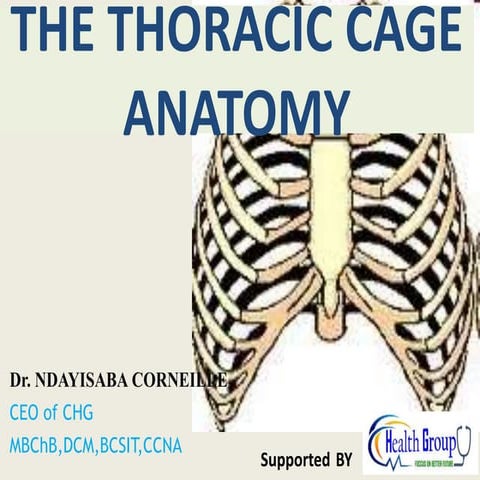 The Thoracic cage Anatomy.pptx