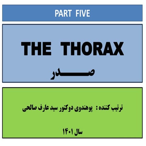 The Thorax.pdf anatomy power point human | PDF