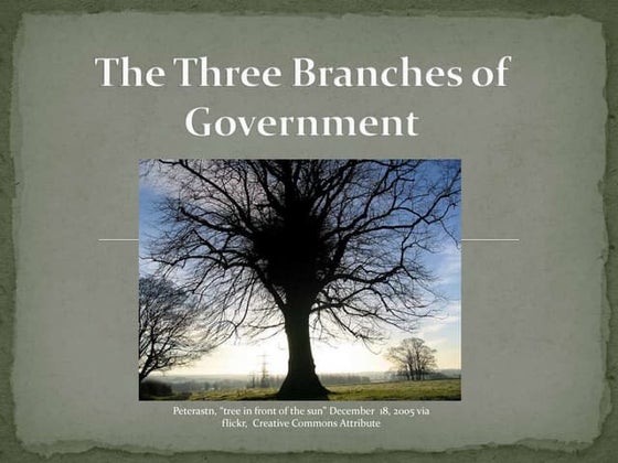 The Three Branches Of Government Power Point | PPTX