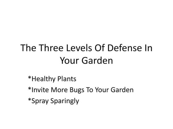 Thrips in Utah Potato Production | PPT